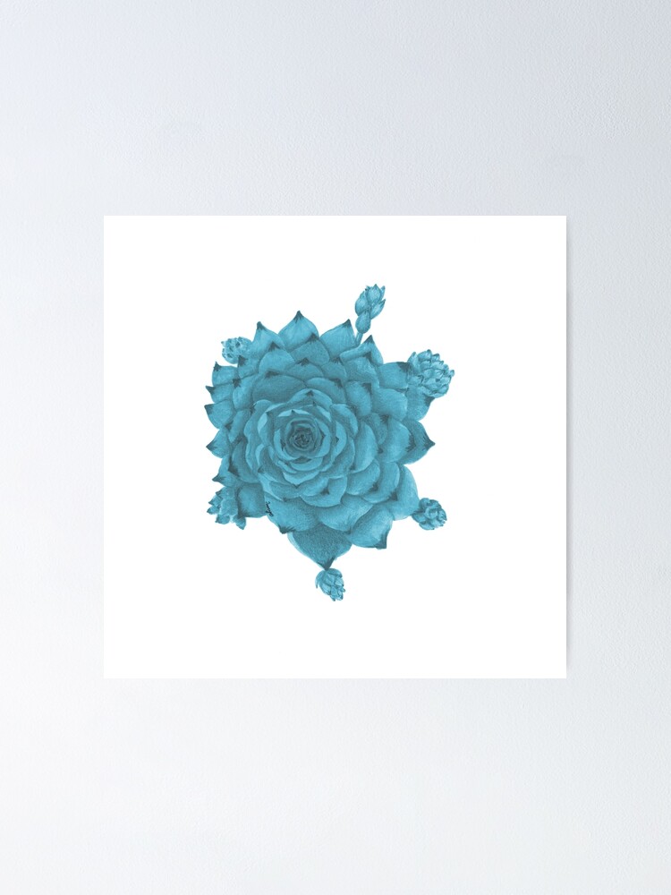 "Aqua Hens and Chicks" Poster for Sale by littlesavedgirl | Redbubble