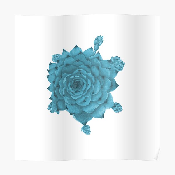 "Aqua Hens and Chicks" Poster for Sale by littlesavedgirl | Redbubble