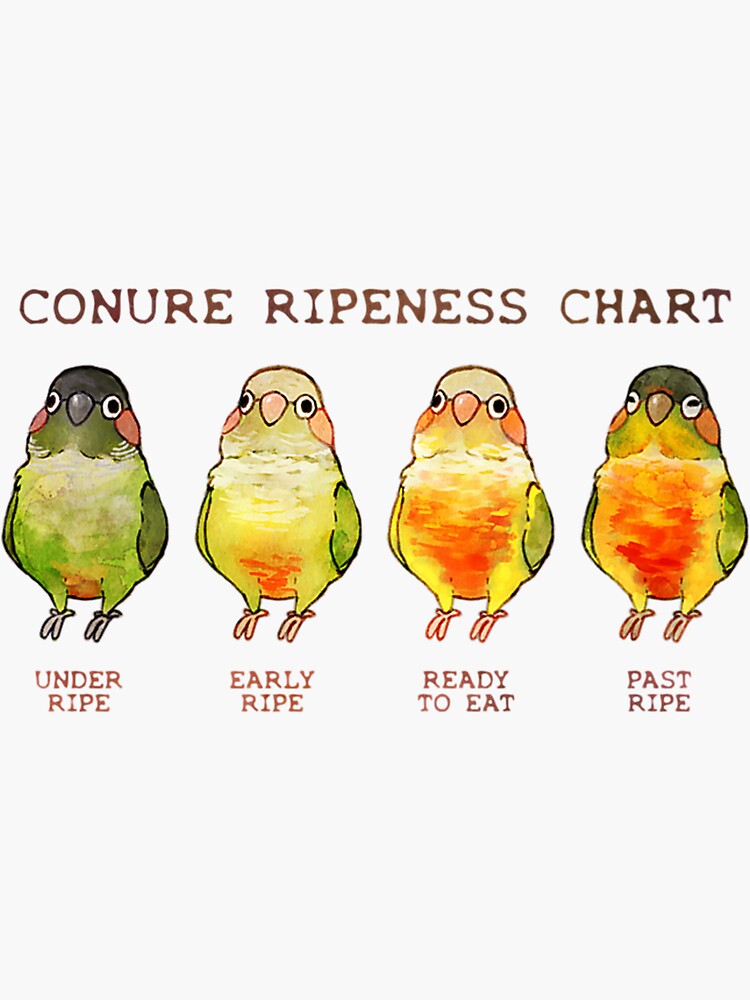 "Conure Ripeness Chart" Sticker for Sale by messyarithmetic | Redbubble