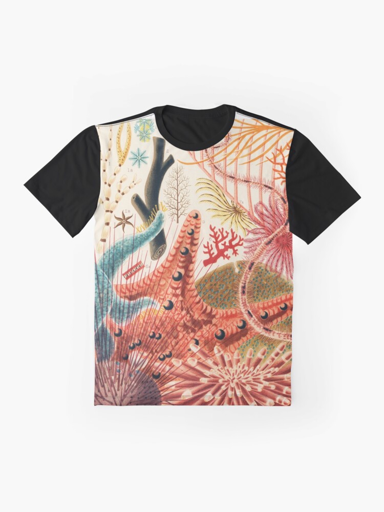 "William Saville-Kent - Great Barrier Reef Echinoderms from The Great Barrier Reef of Australia ...