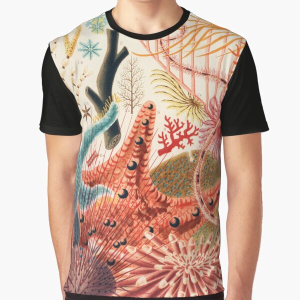 "William Saville-Kent - Great Barrier Reef Echinoderms from The Great Barrier Reef of Australia ...