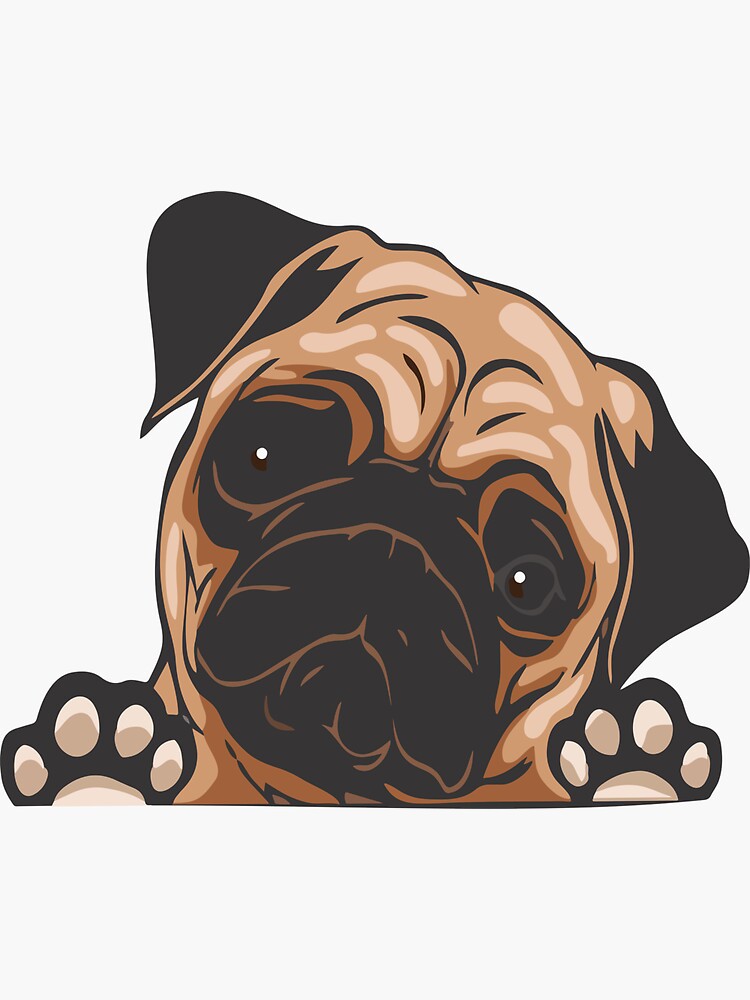 "Pug Dog Peeking Peeker" Sticker for Sale by KaydenLee | Redbubble
