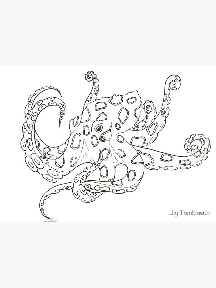 "Blue Ringed Octopus" Sticker for Sale by lilytomkinson | Redbubble