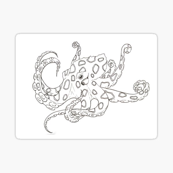 "Blue Ringed Octopus" Sticker for Sale by lilytomkinson | Redbubble