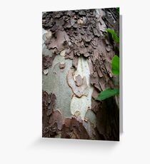 Picasso: Greeting Cards | Redbubble