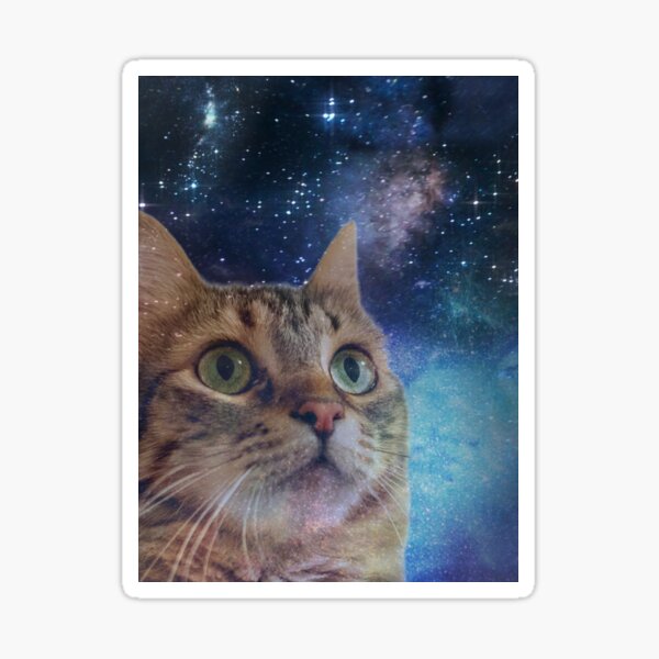 "Space Cat" Sticker for Sale by DigitalBabyGirl | Redbubble