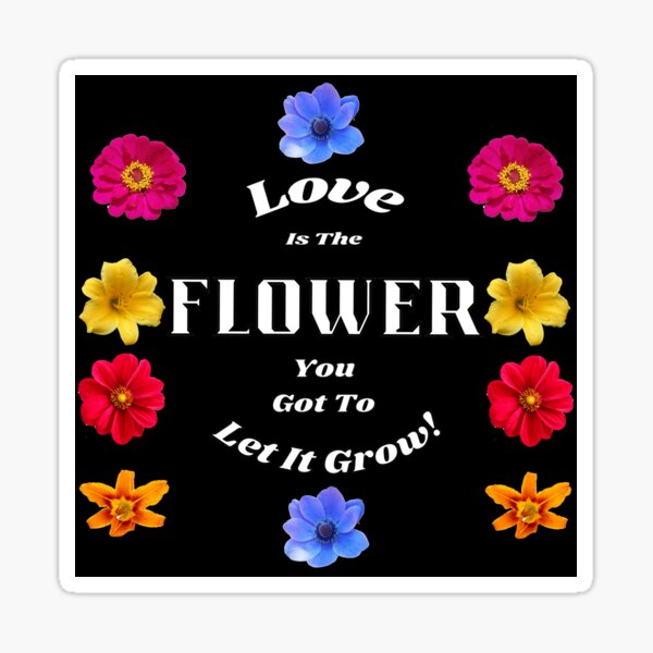 "Expert Advice" Sticker for Sale by everbabygirl | Redbubble