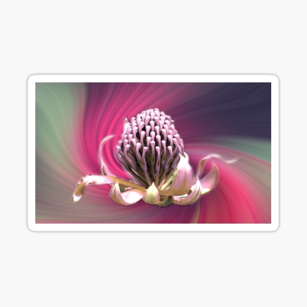 "Shady Lady in a Twist" Sticker for Sale by swirlingsands | Redbubble