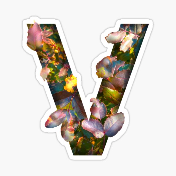 "Floral Letter V" Sticker for Sale by Moniartprints | Redbubble