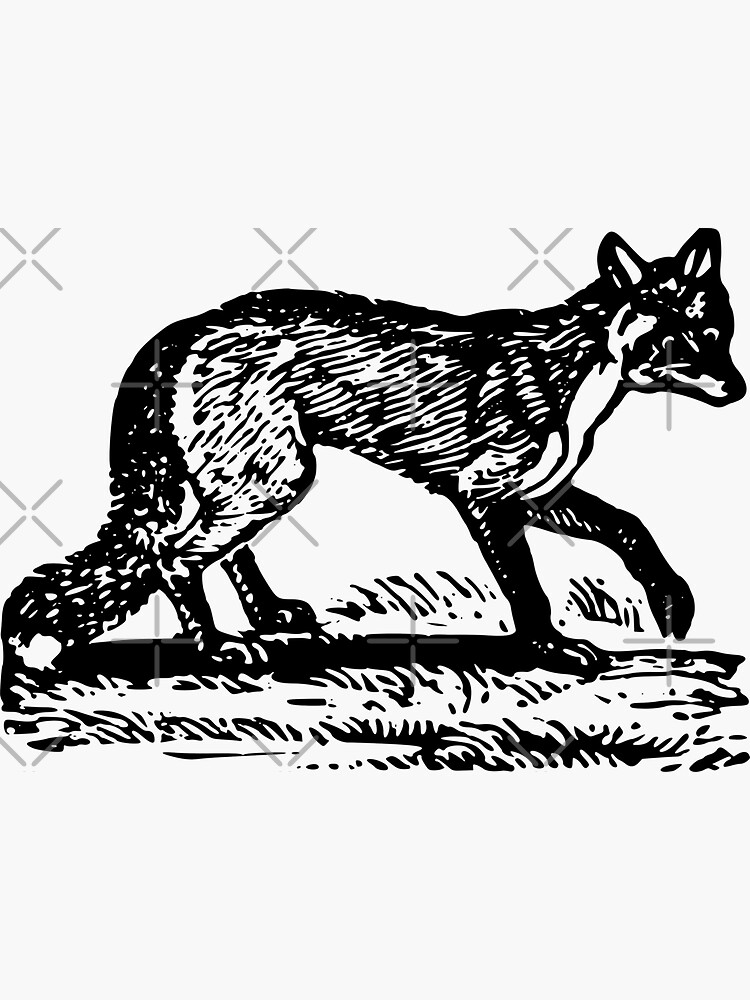 "Fox vintage woodblock print" Sticker for Sale by GalleryDigital ...