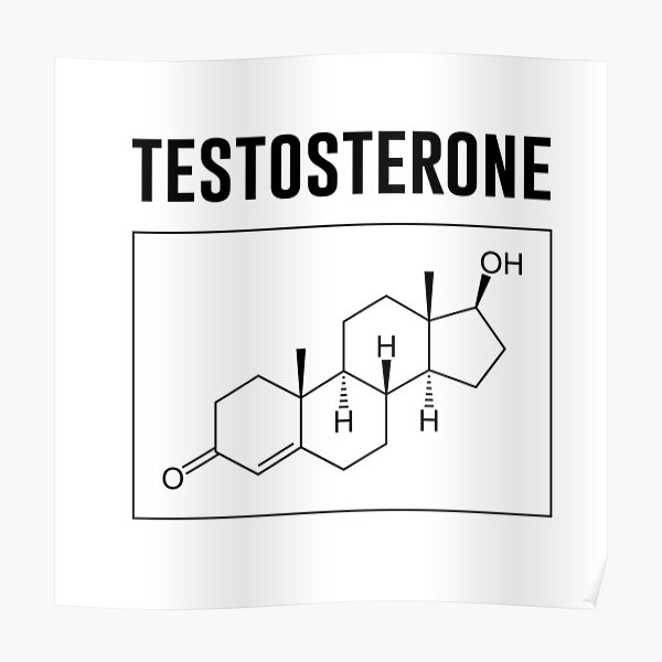 "TESTOSTERONE" Poster for Sale by YalcinPub | Redbubble