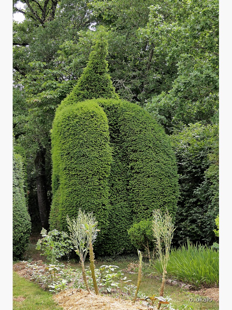 "3528 / finition 2022 - 3 - " Jardin Remarquable de Fortran à Linazay ...