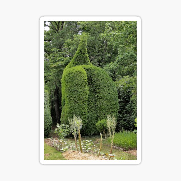 "3528 / finition 2022 - 3 - " Jardin Remarquable de Fortran à Linazay ...