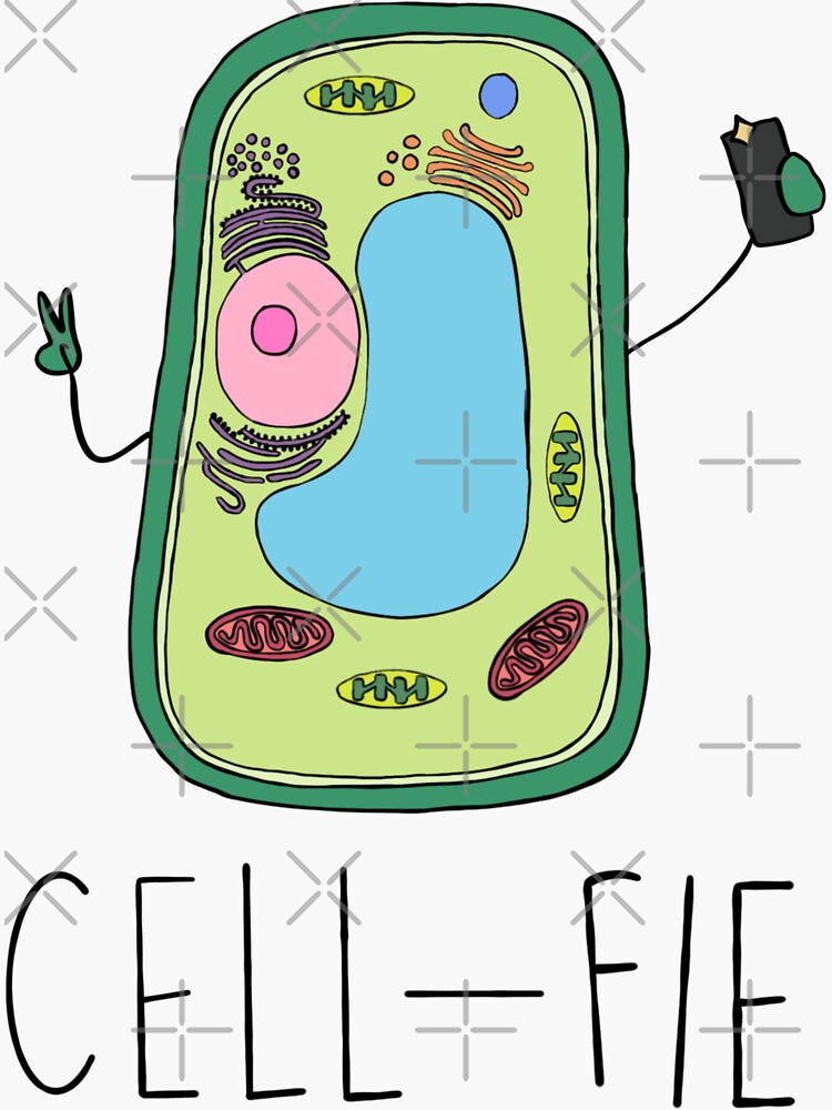"Plant Cell-fie" Sticker for Sale by bobbihstanson | Redbubble