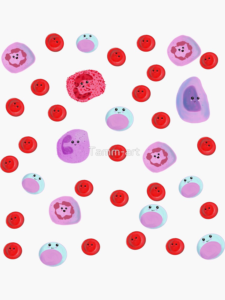 "Cute blood cells " Sticker for Sale by Tamm-art | Redbubble