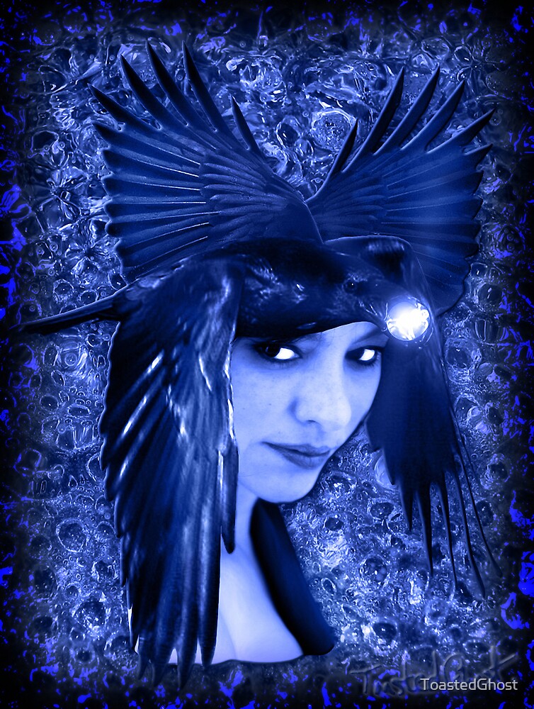 "The Raven has a Soul" by ToastedGhost | Redbubble