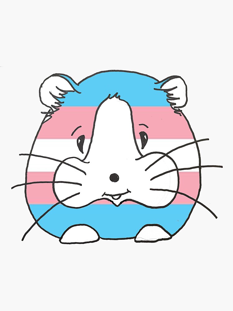 "Trans Pride Guinea Pig" Sticker for Sale by RoyGBivDesigns | Redbubble