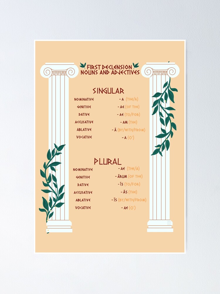 "Classical Latin First Declension Print" Poster for Sale by artistfuly ...
