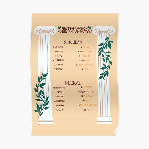 "Classical Latin First Declension Print" Poster for Sale by artistfuly ...