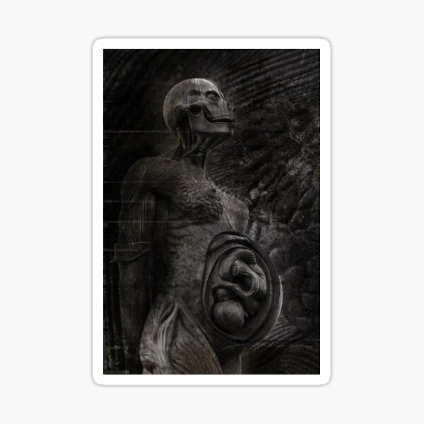 "Composite Photograph of Verity by Damien Hirst" Sticker for Sale by ...
