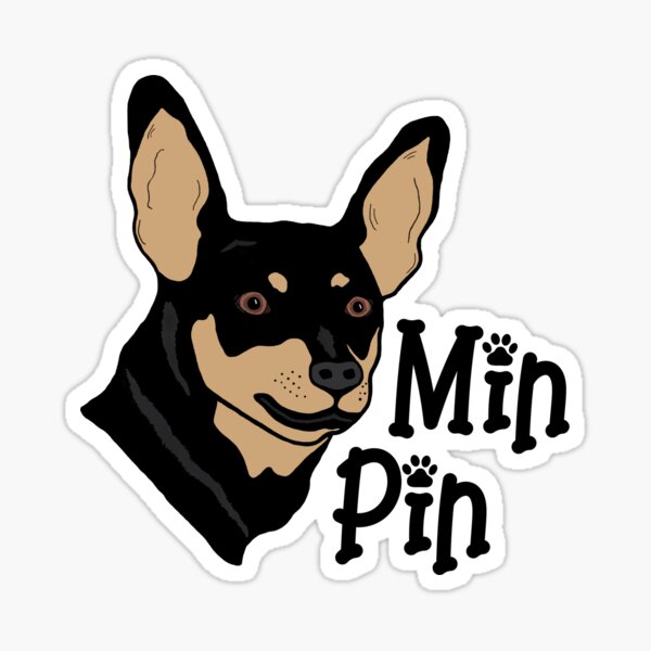 "Min Pin Digital Drawing" Sticker for Sale by ColorAndVerse | Redbubble