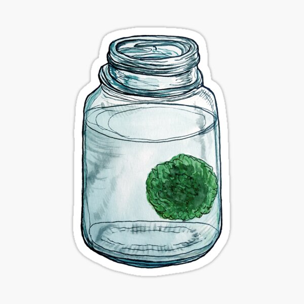 Marimo Gifts & Merchandise for Sale | Redbubble