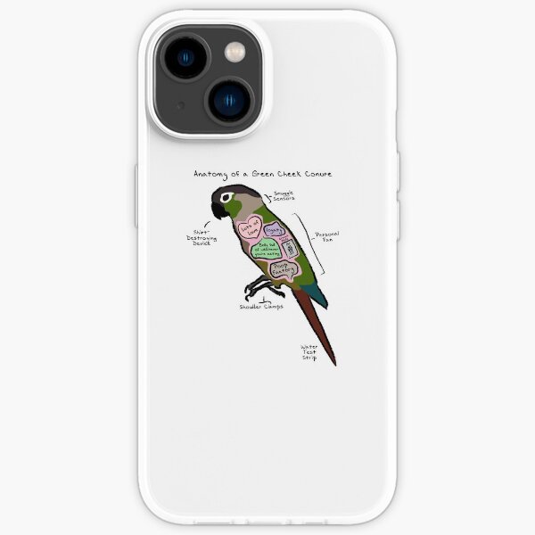 "Anatomy of a Green Cheek Conure" iPhone Case for Sale by ...