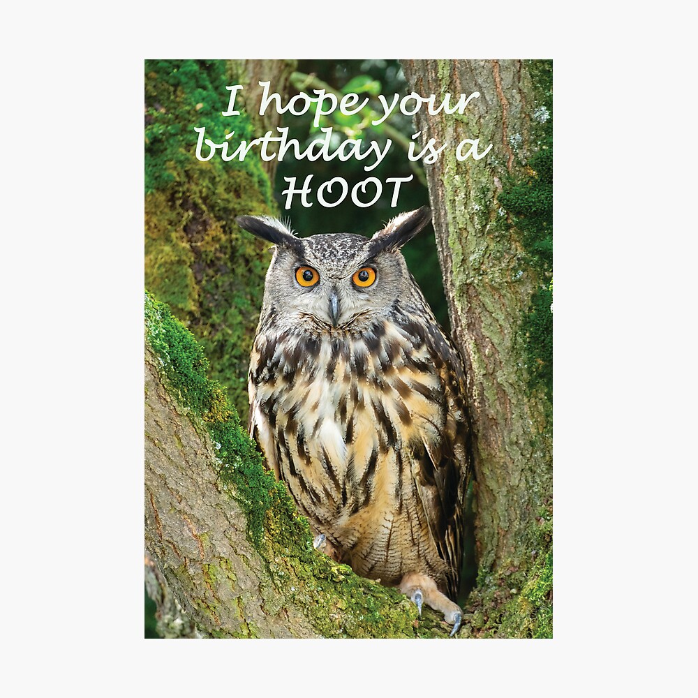 Owl Birthday Card Sayings