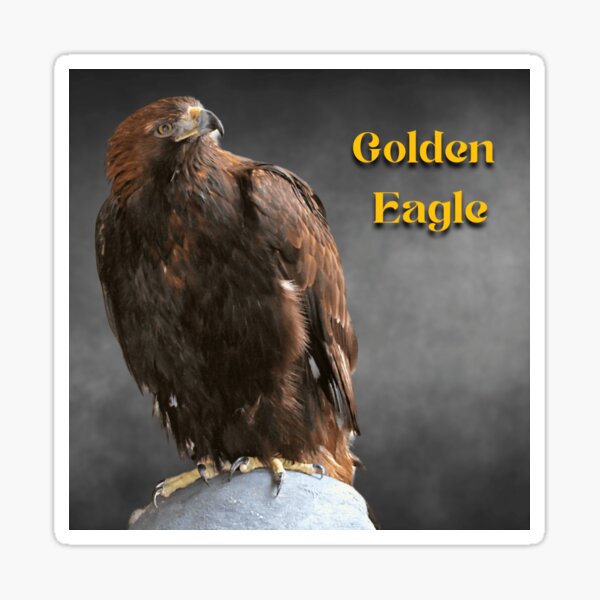 "Golden Eagle" Sticker for Sale by BeatrxiLilly | Redbubble