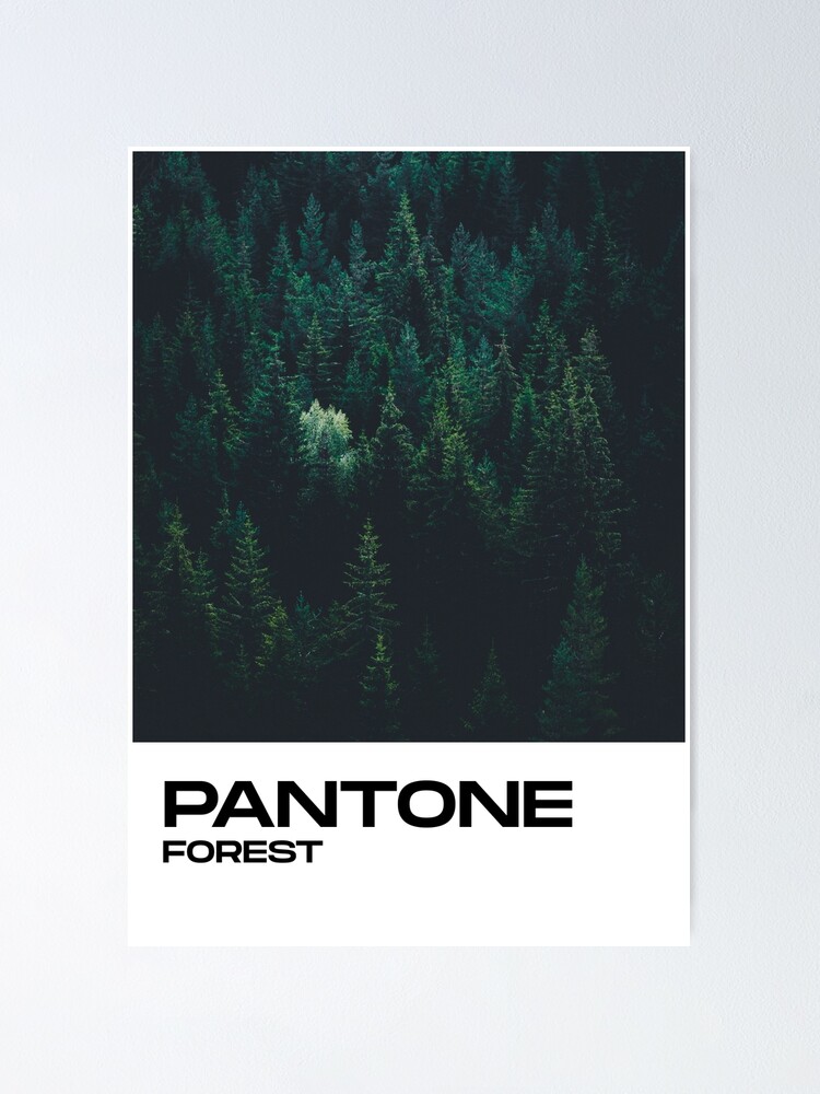 "Pantone Forest / Forest" Poster for Sale by Creetaa | Redbubble