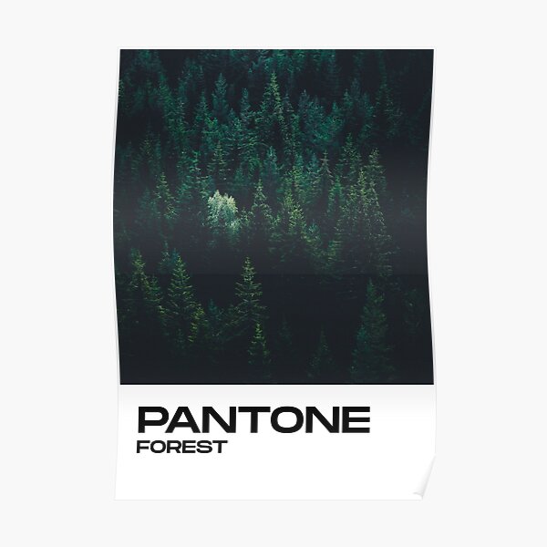 "Pantone Forest / Forest" Poster for Sale by Creetaa | Redbubble