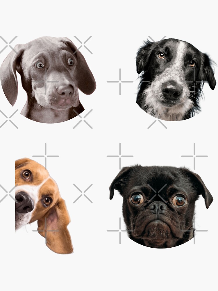 "Dogs Reaction Stickers Packs Sticker" Sticker for Sale by Petslook ...