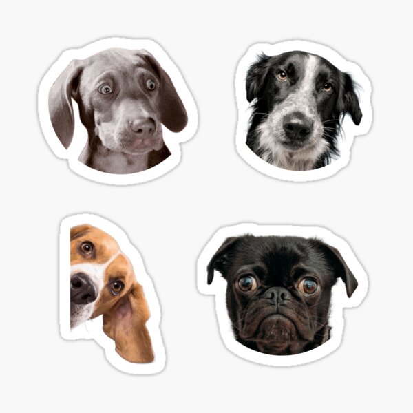 "Dogs Reaction Stickers Packs Sticker" Sticker for Sale by Petslook ...