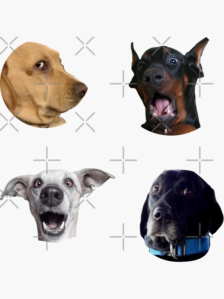 "Meme Dogs Reactions Stickers Pack Sticker" Sticker for Sale by ...