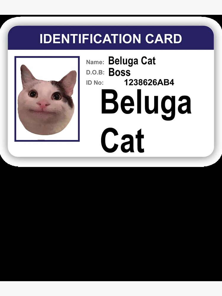 "Beluga Cat Identification Card Classic " Poster for Sale by ...