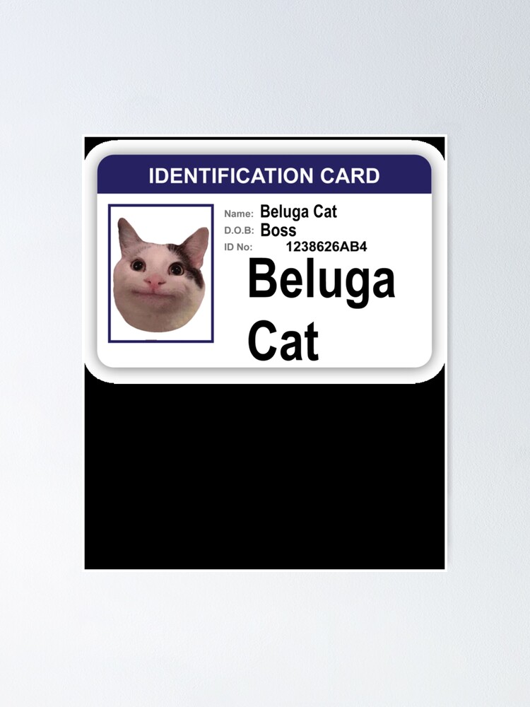 "Beluga Cat Identification Card Classic " Poster for Sale by ...