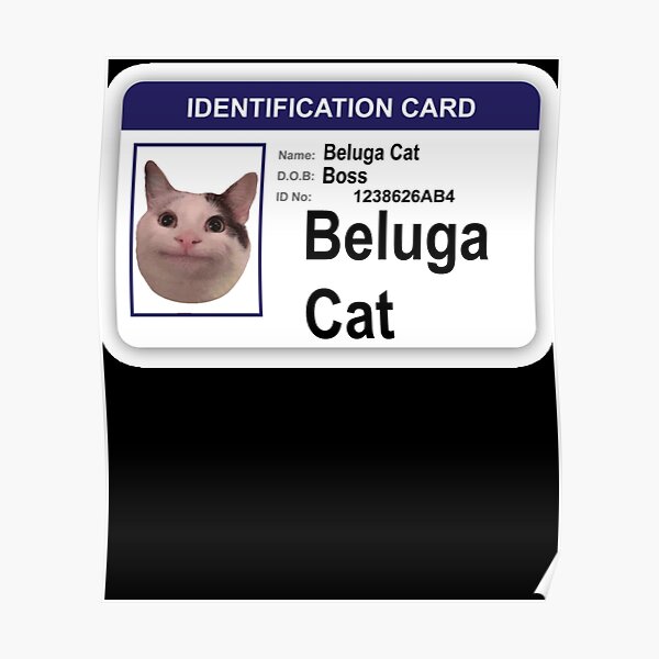 "Beluga Cat Identification Card Classic " Poster for Sale by ...