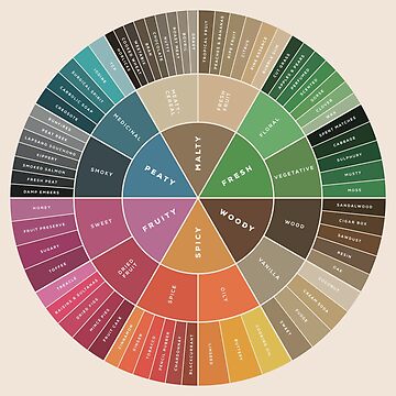 "The Whisky Flavour Wheel" Sticker for Sale by innasoyturk | Redbubble