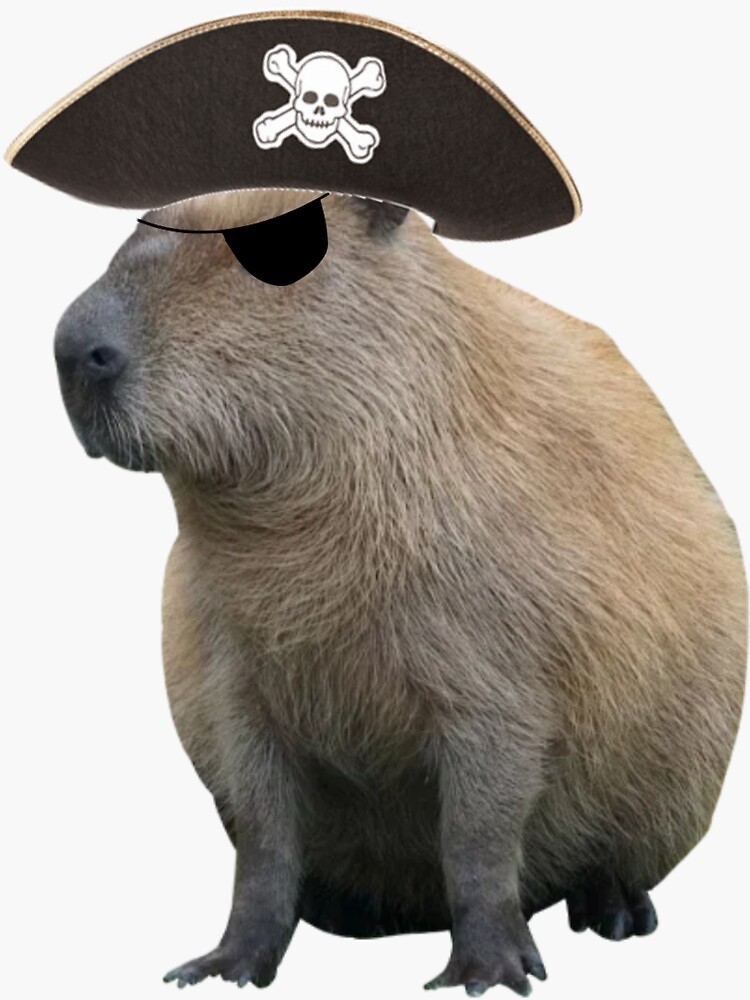 "Pirate Capybara" Sticker for Sale by mirceaspartan | Redbubble