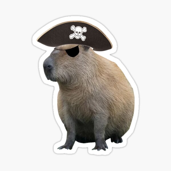"Pirate Capybara" Sticker for Sale by mirceaspartan | Redbubble