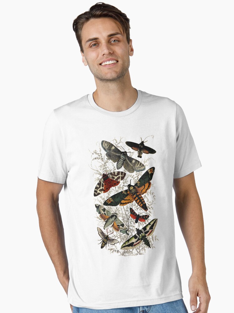 "Victorian Moth Insects illustration" Essential T-Shirt for Sale by ...