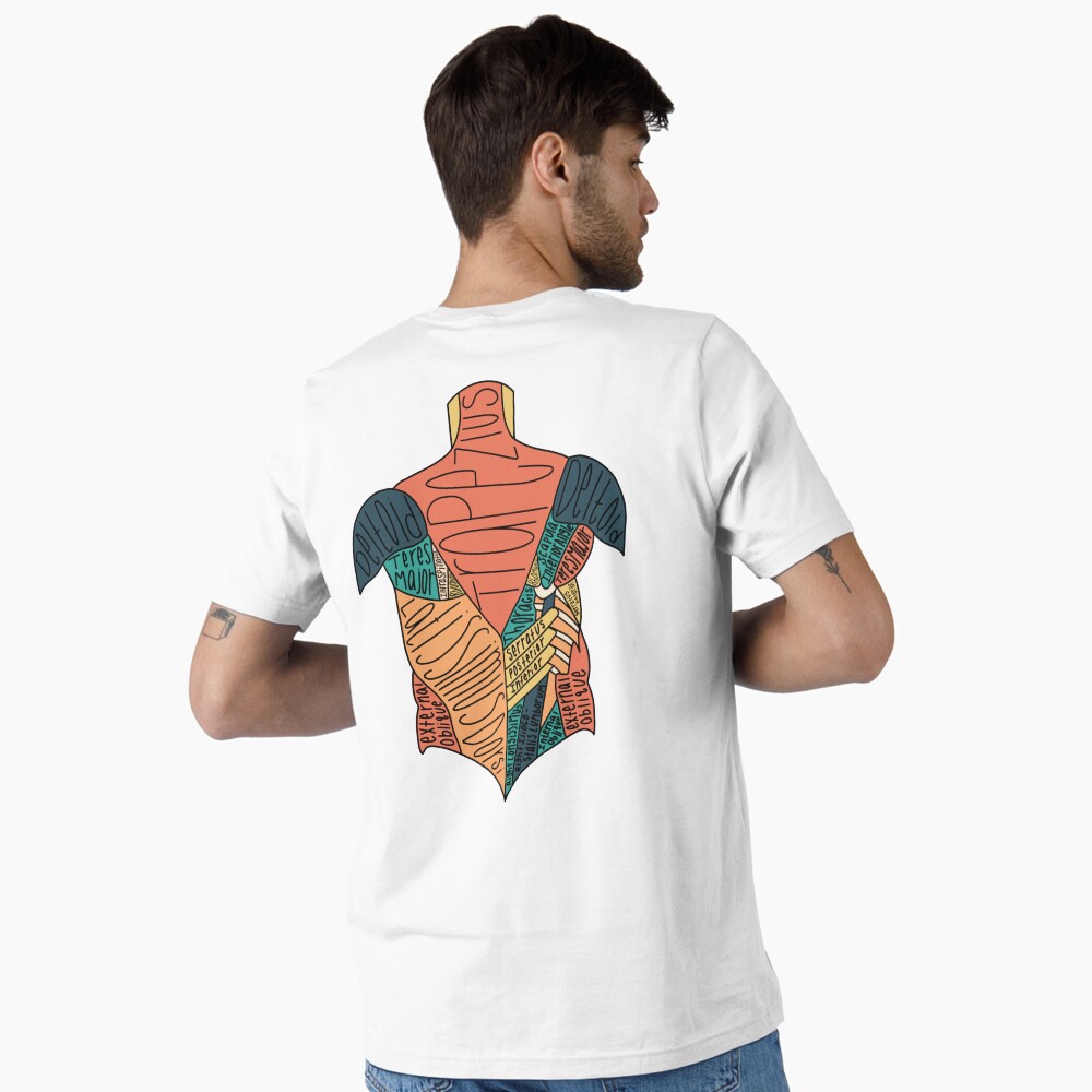 "Labeled Back Muscle Anatomy " Sticker for Sale by KatherineWinner ...