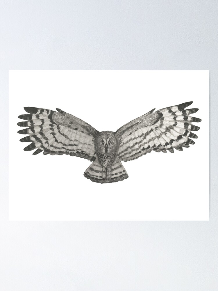 "Swooping Owl Pencil Drawing" Poster for Sale by KayArtandPencil ...
