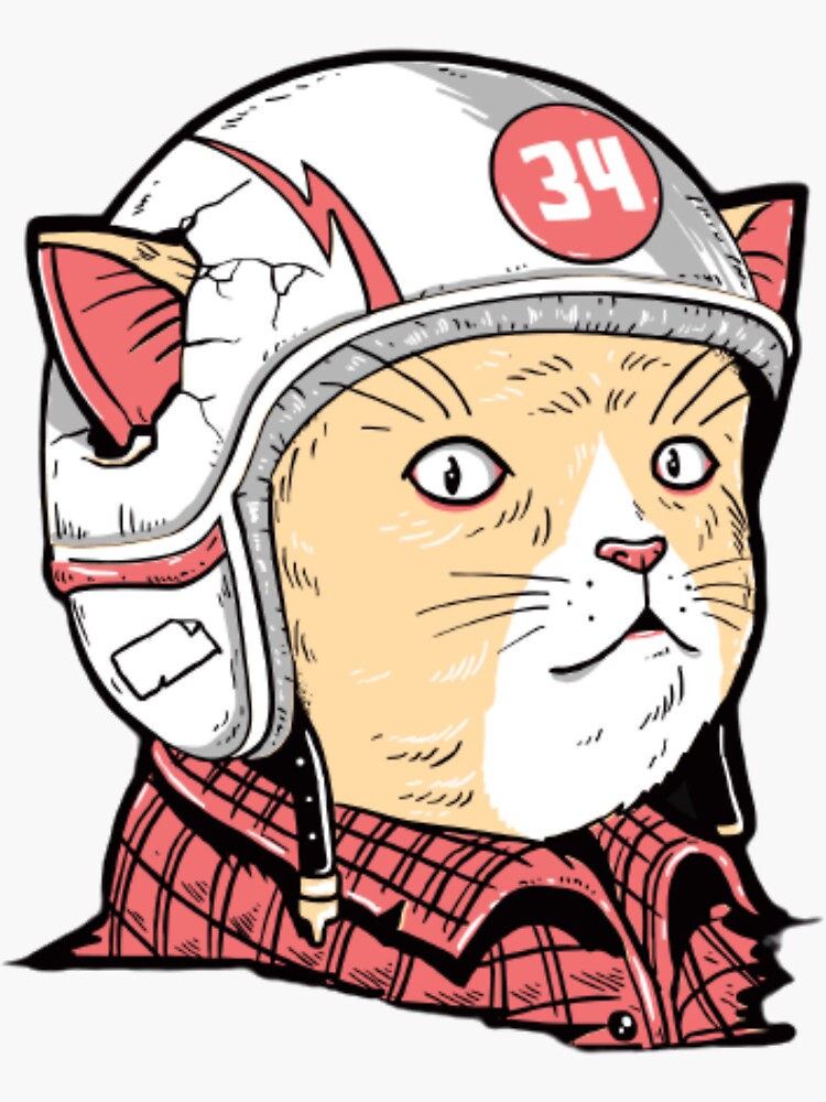 "Cat wearing helmet " Sticker for Sale by Tarun99 | Redbubble