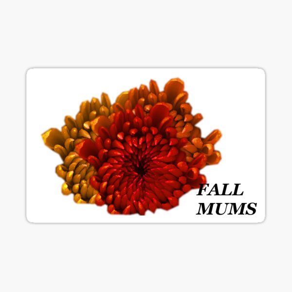 "Fall Mums" Sticker for Sale by Hansenswallart | Redbubble