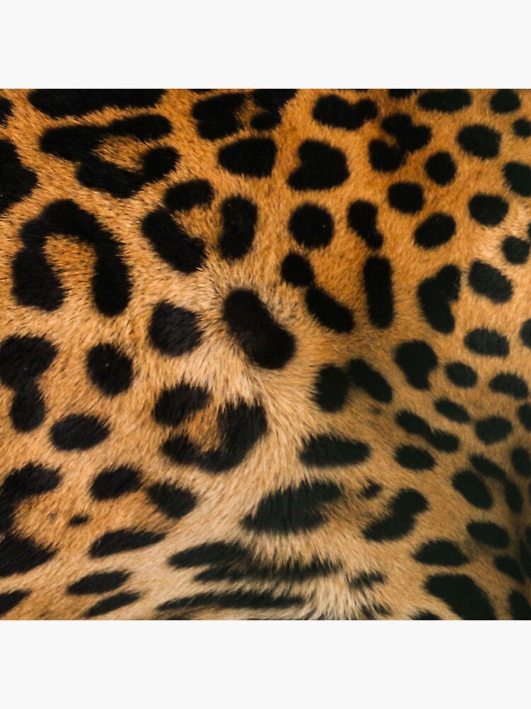 "Leopard Spots Pattern - Animal Prints" Sticker for Sale by pirogaa92 ...