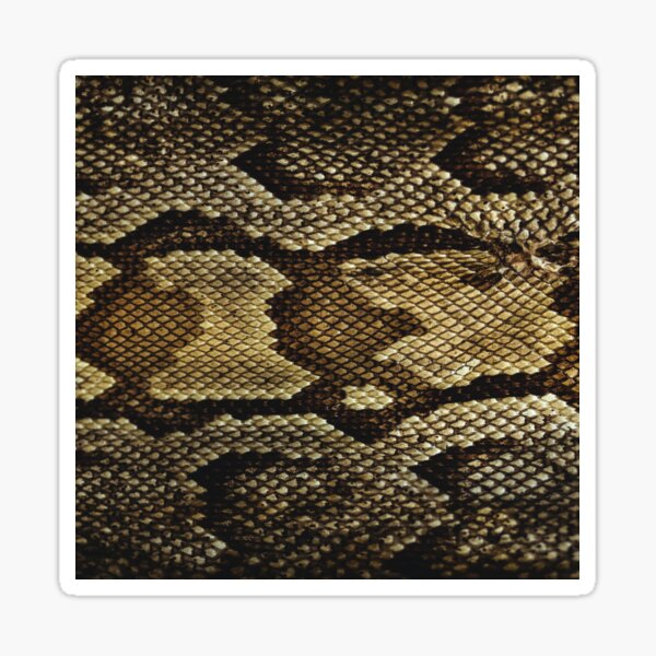 "Python Pattern - Animal Prints" Sticker for Sale by pirogaa92 | Redbubble