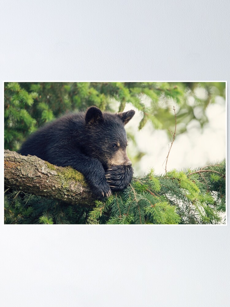 "Please bear with me" Poster for Sale by mydeliciouslife | Redbubble