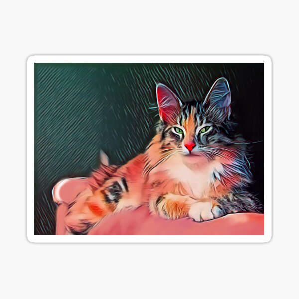 "Cat Eyes" Sticker for Sale by everbabygirl | Redbubble