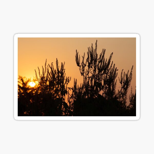 "Over the ridge" Sticker for Sale by NickVelez | Redbubble